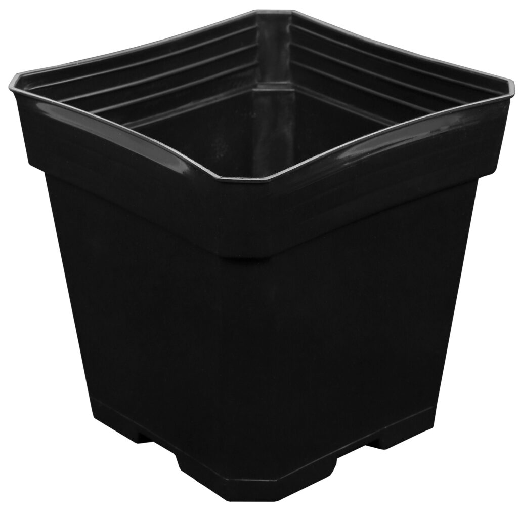Gro Pro Black Plastic Pot 5.5 in x 5.5 in x 5.75 in (200/Cs) - Desert Hydro